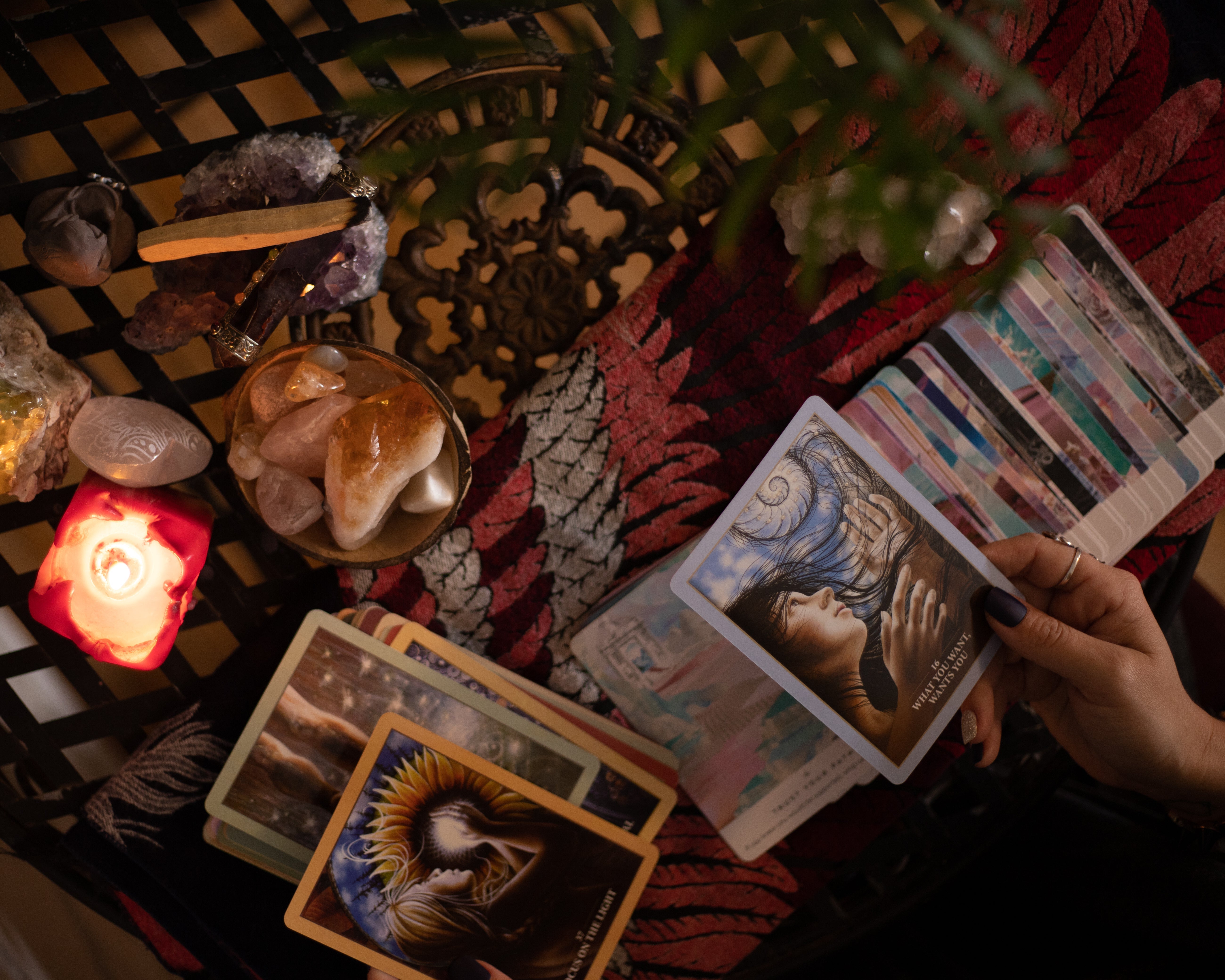 Tarot & Oracle | Alternity