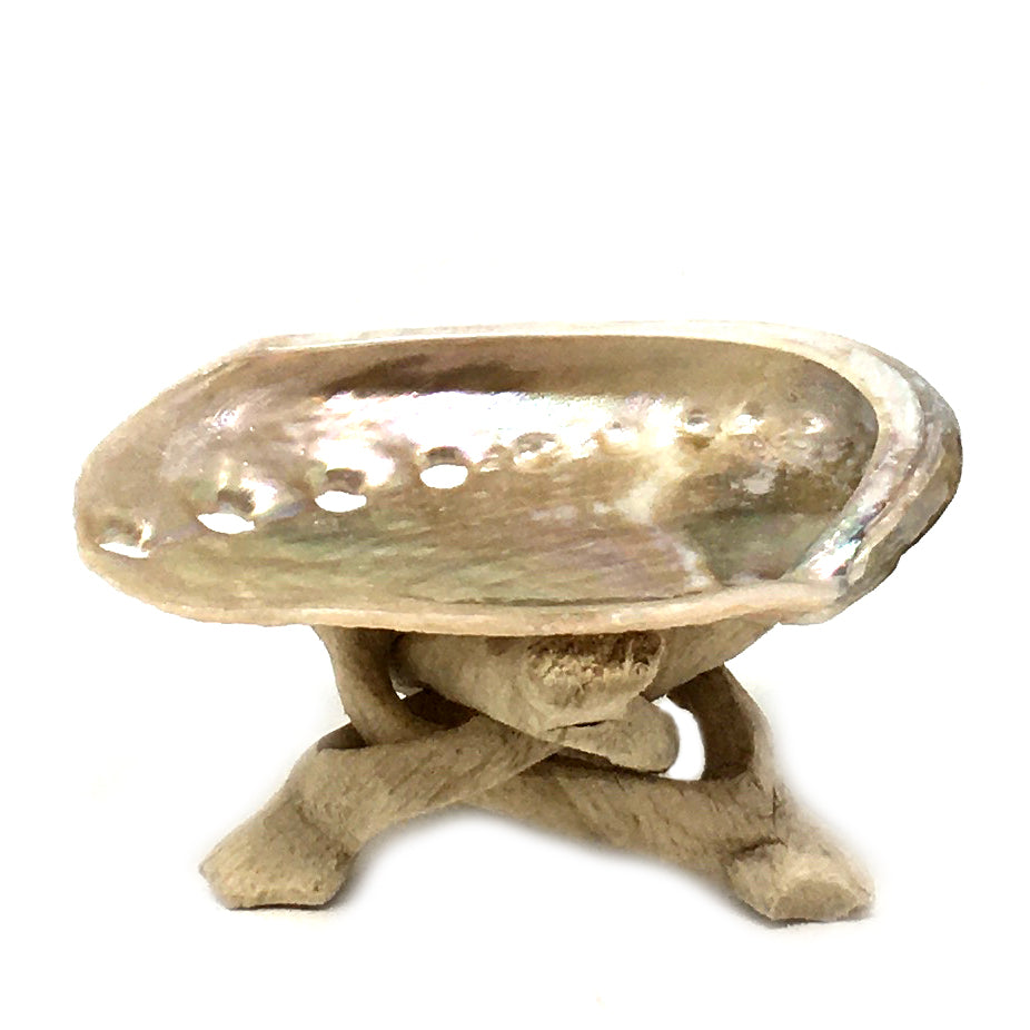 Shell Stand | Alternity